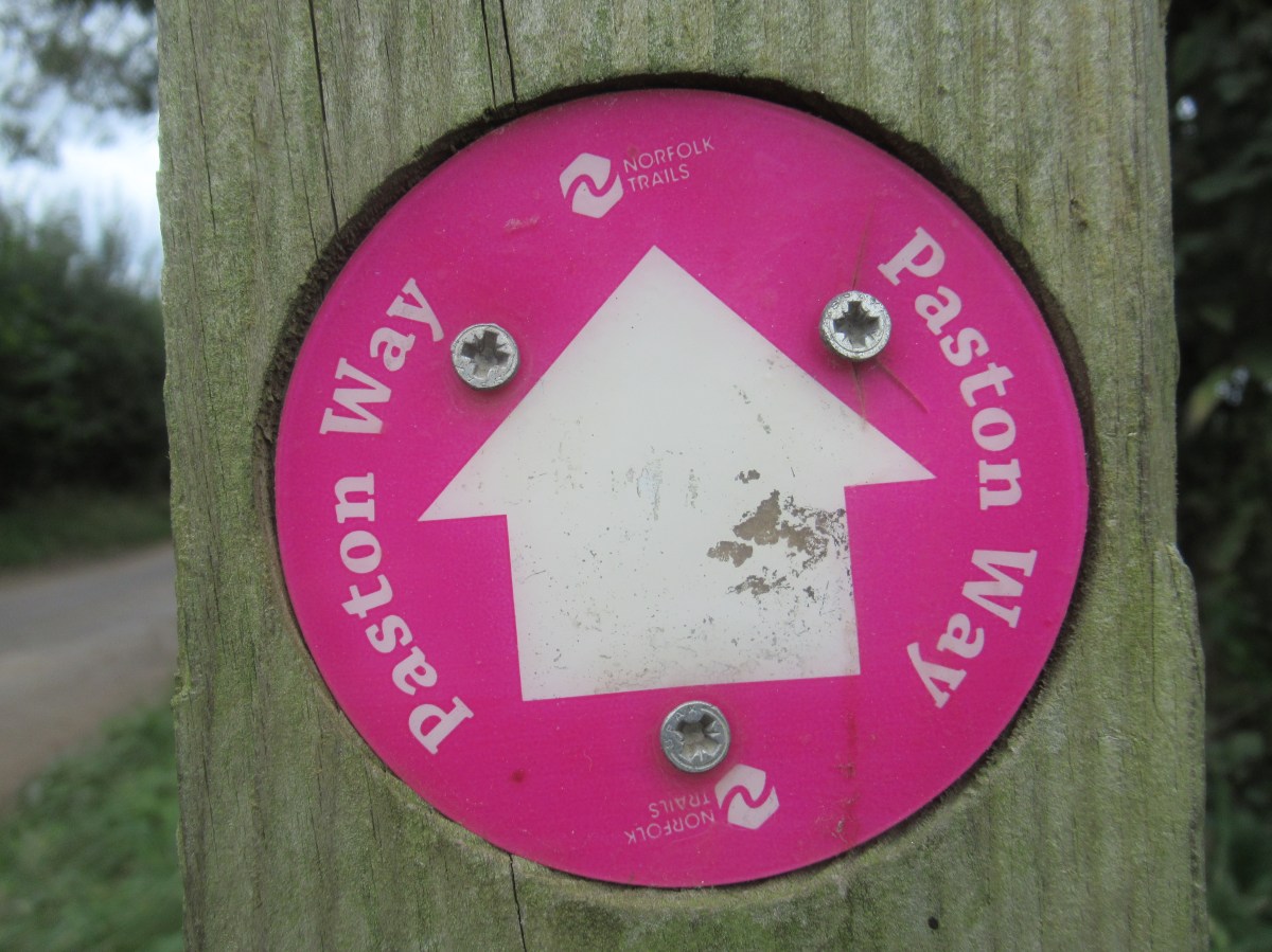 THE PASTON WAY – Vole Explosion